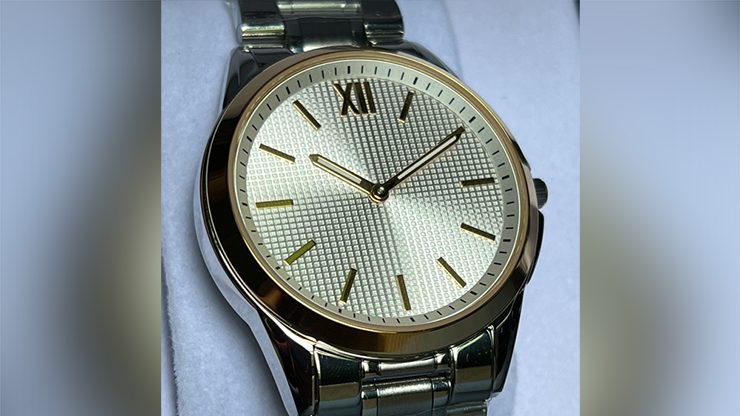 SB Watch Steel Limited Edition, White by Andrs Brthzi and Electricks ...